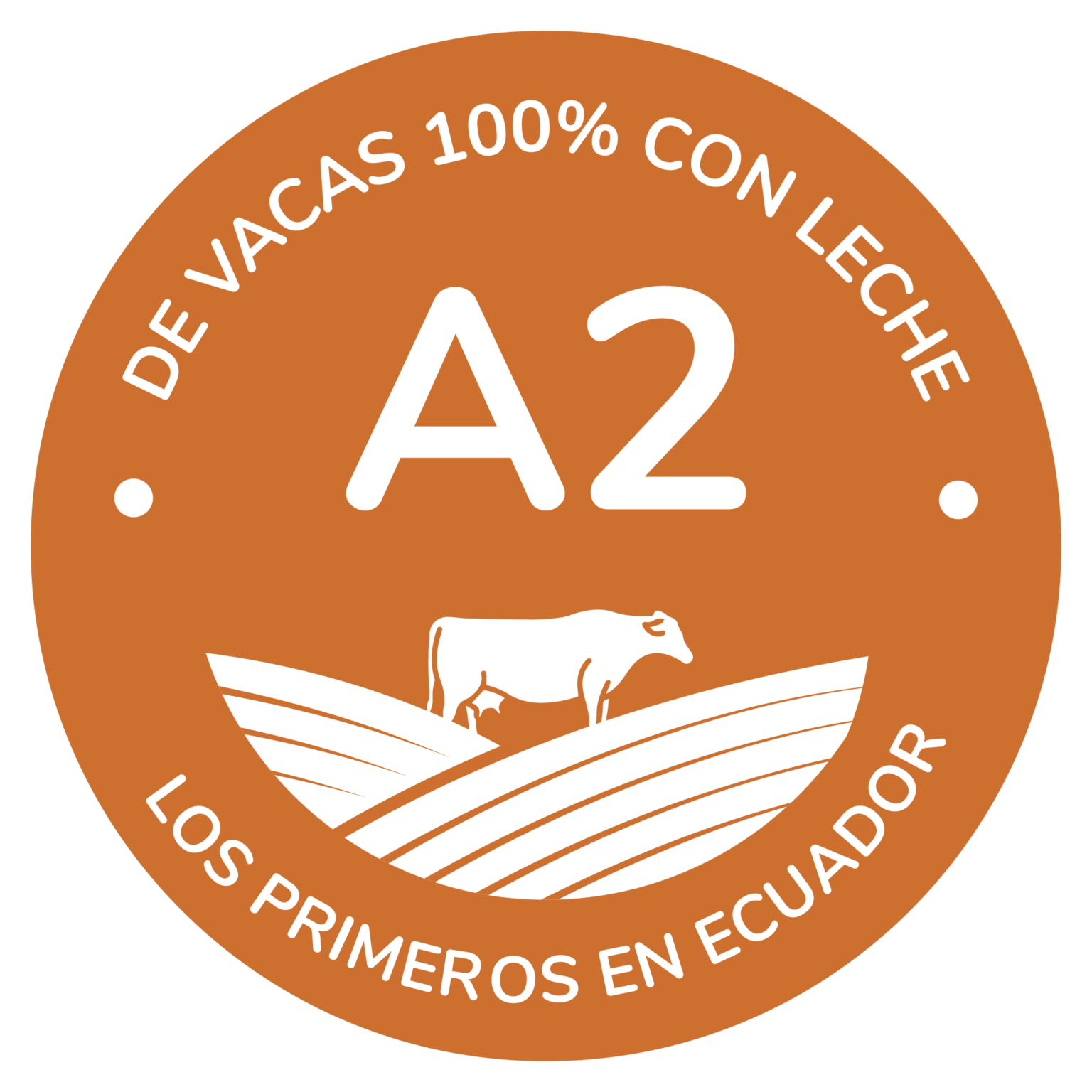 EN PHAJCHA, NUESTRA LECHE ES A2 | Phajcha